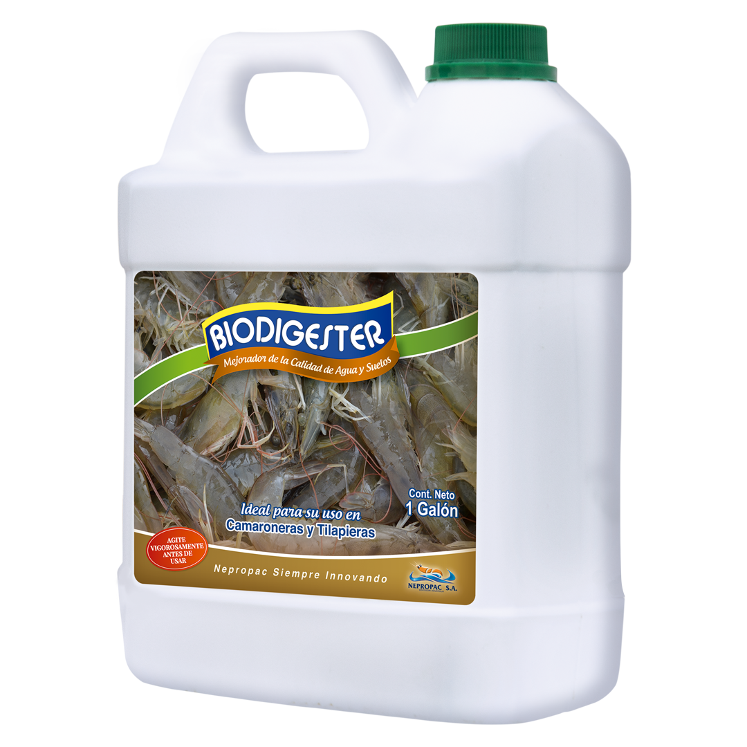 Biodigester – NEPROPAC